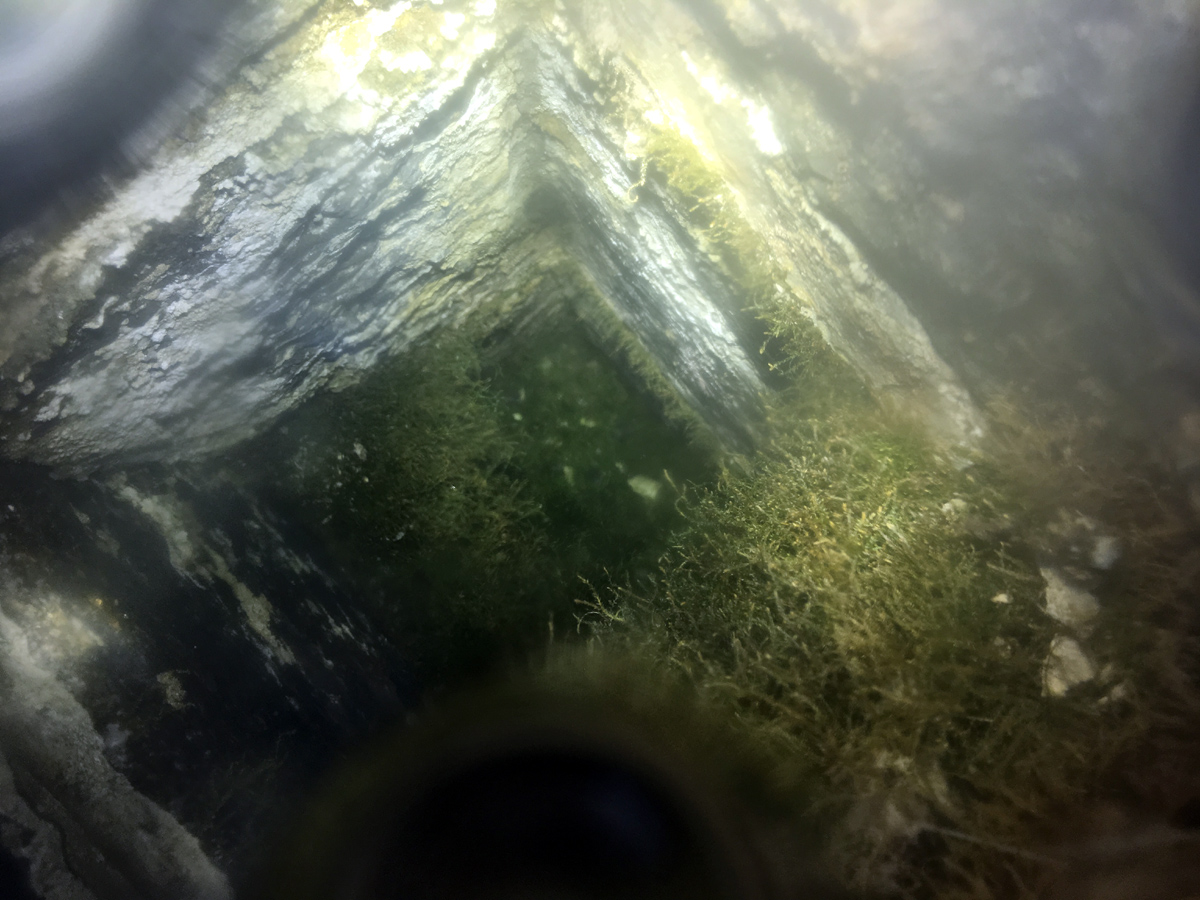 Podcast 51 – Buried Alive in Vermont? – New England Legends